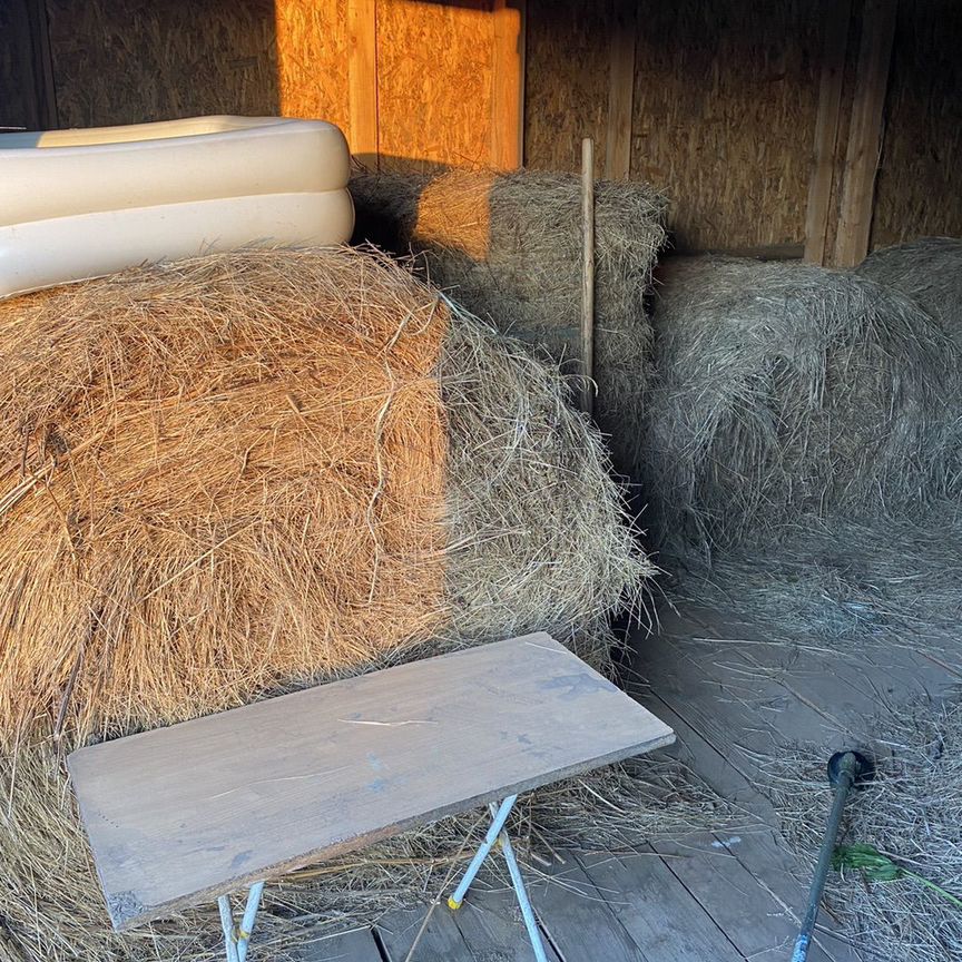 Сено в рулонах/тюках