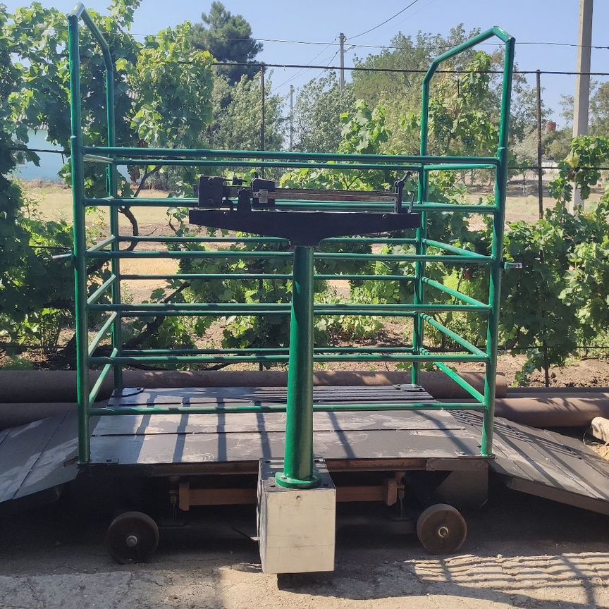 Весы для животных