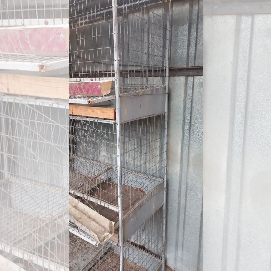 Клетки для кур