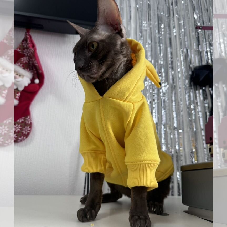 Худи для кошек