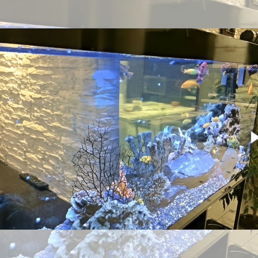 Аквариум с тумбой 300 литров б/у