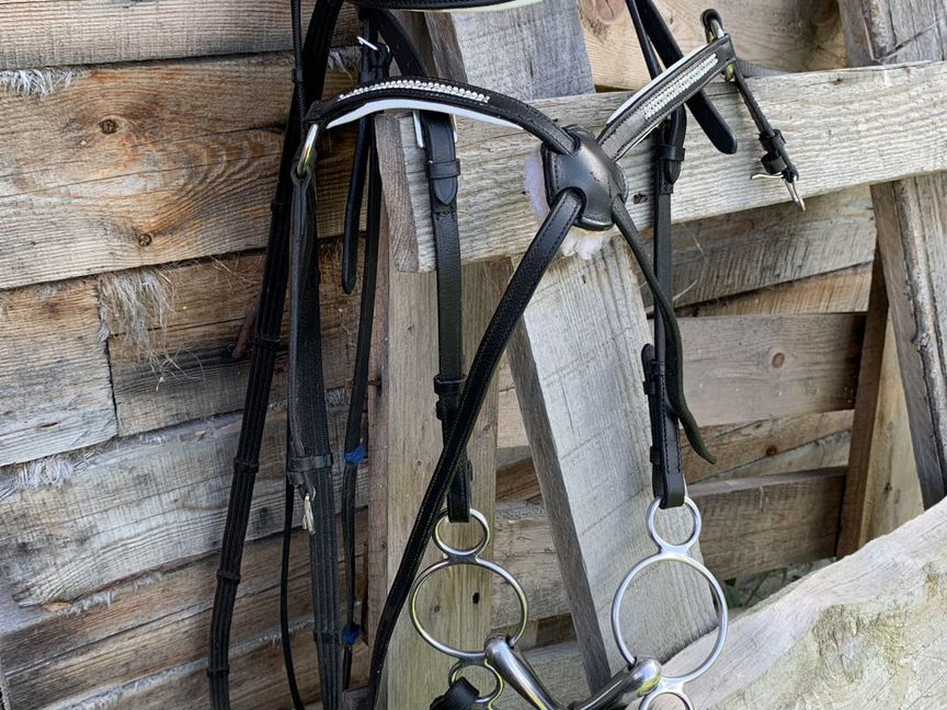 Уздечка для лощади