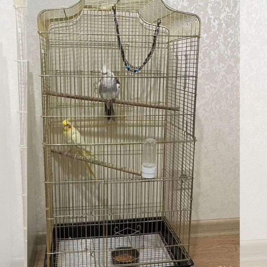 Большая клетка для попугая