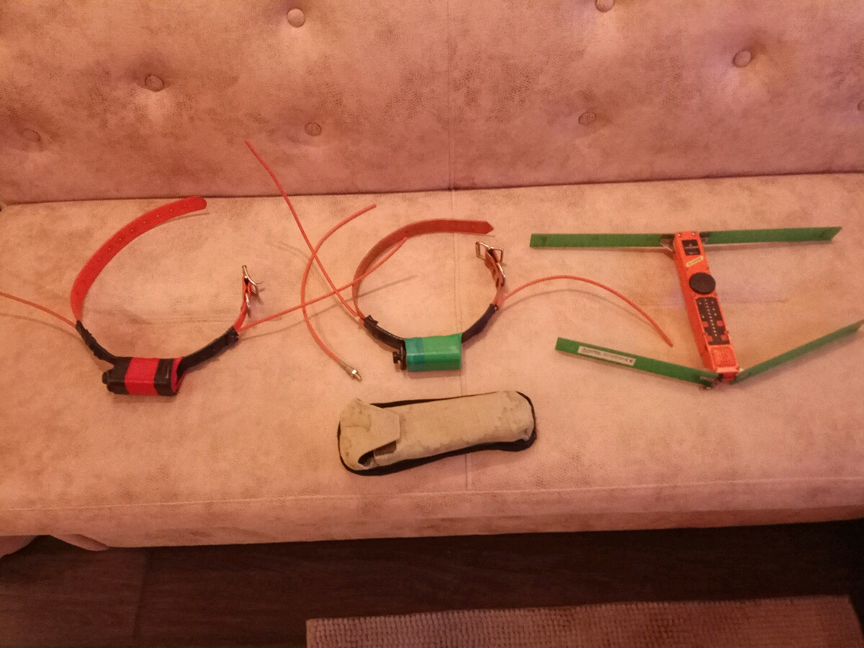 Радиопоисковая система для собак