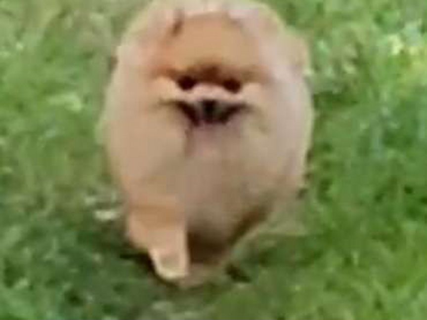 Девочка Барби