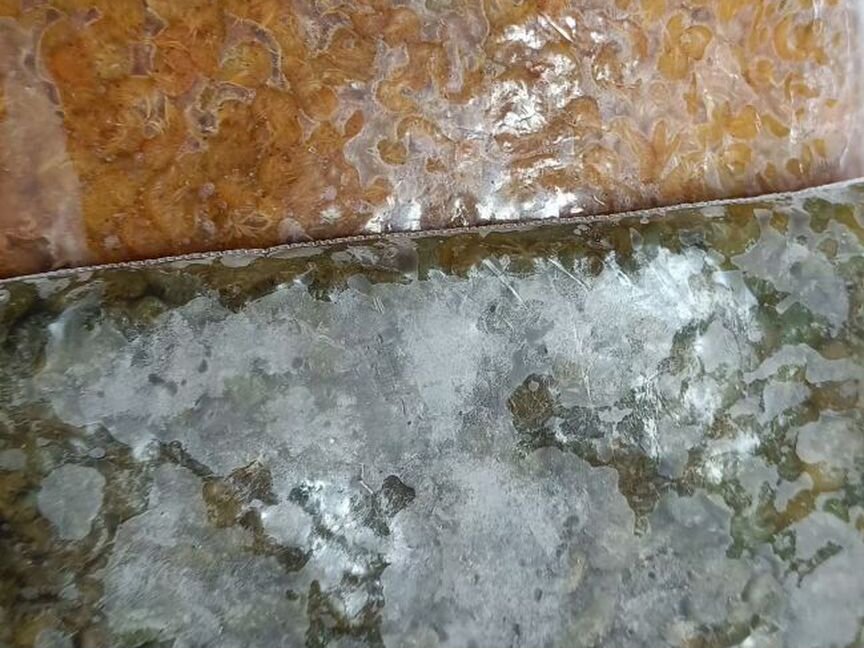 Натуральный корм для крупных цихлид