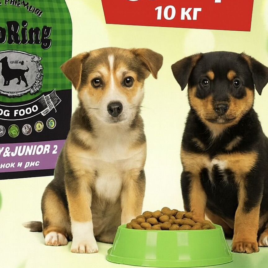 Корм для собак зооринг