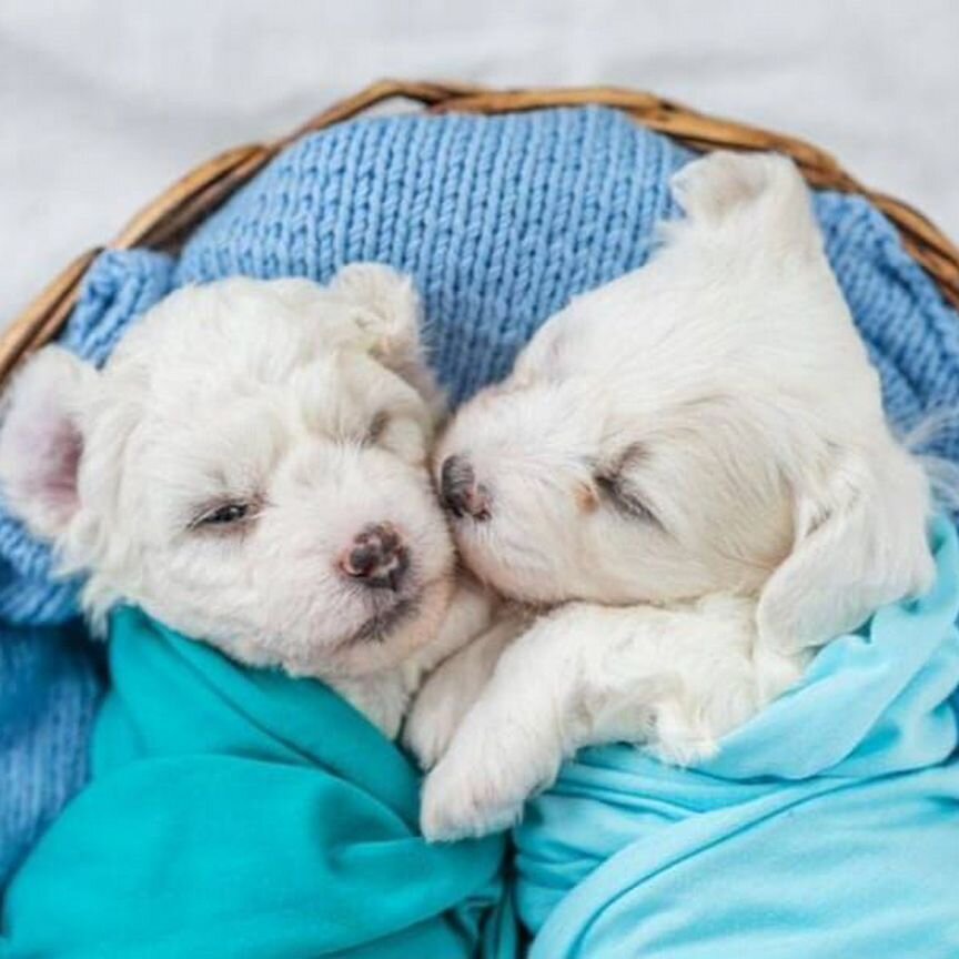 Самые обнимательные и целовательные малыши