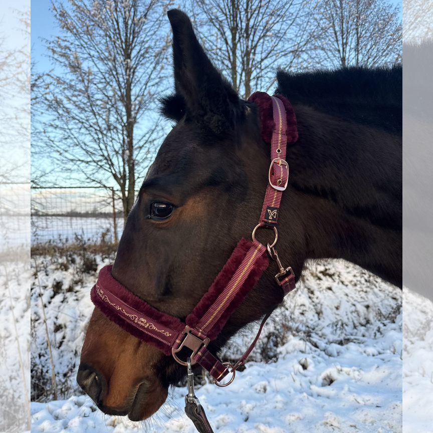 Недоуздок для лошади фулл