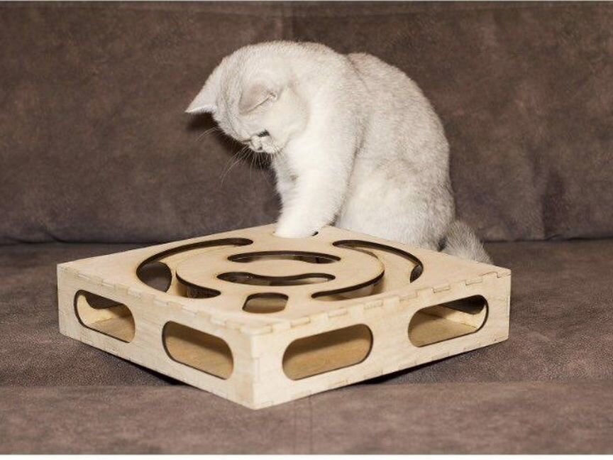 Игровой лабиринт для кошек