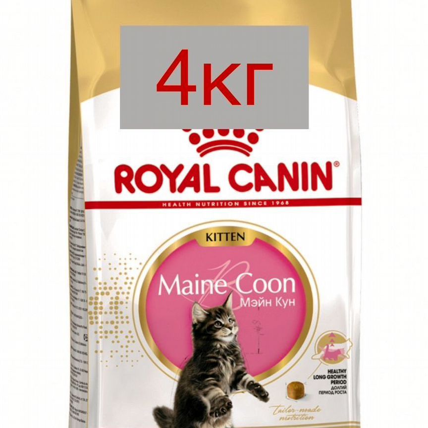 Сухой корм для котят Royal Canin Maine Coon Kitten