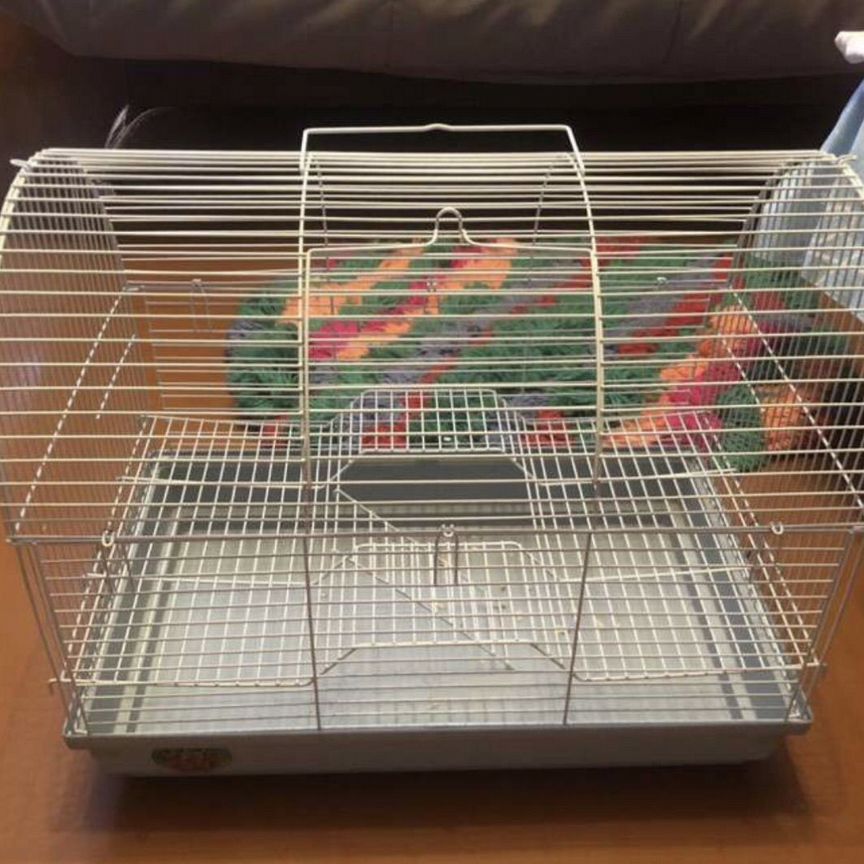 Клетка для крыс бу