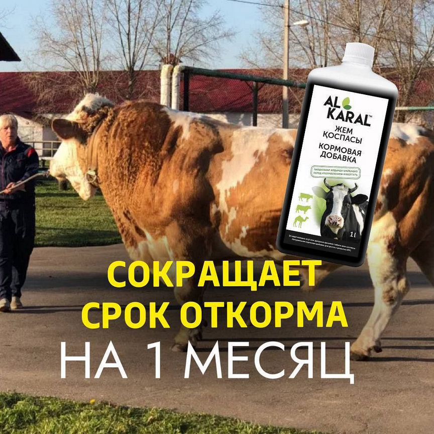 Добавка для быков, для откорма
