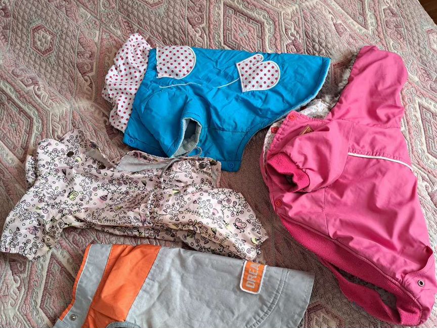 Одежда для маленьких собак бу