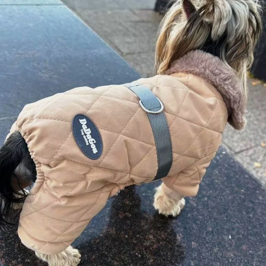 Комбинезон для маленькой собаки