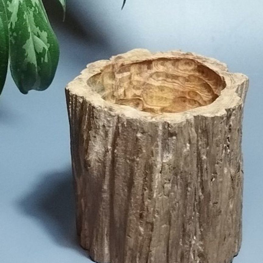 Коряга 1 натур. с отверстием для посадки растений