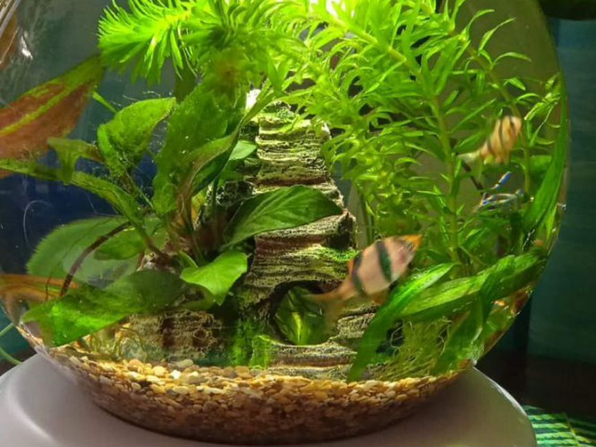 Аквариум tetra Waterfall Globe Duo