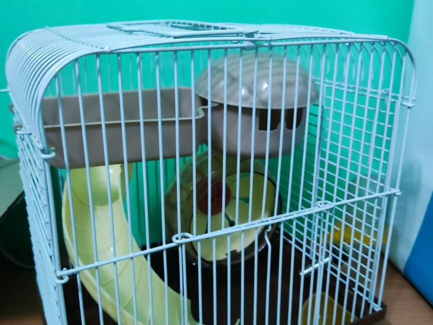 Клетка для джунгарского хомяка