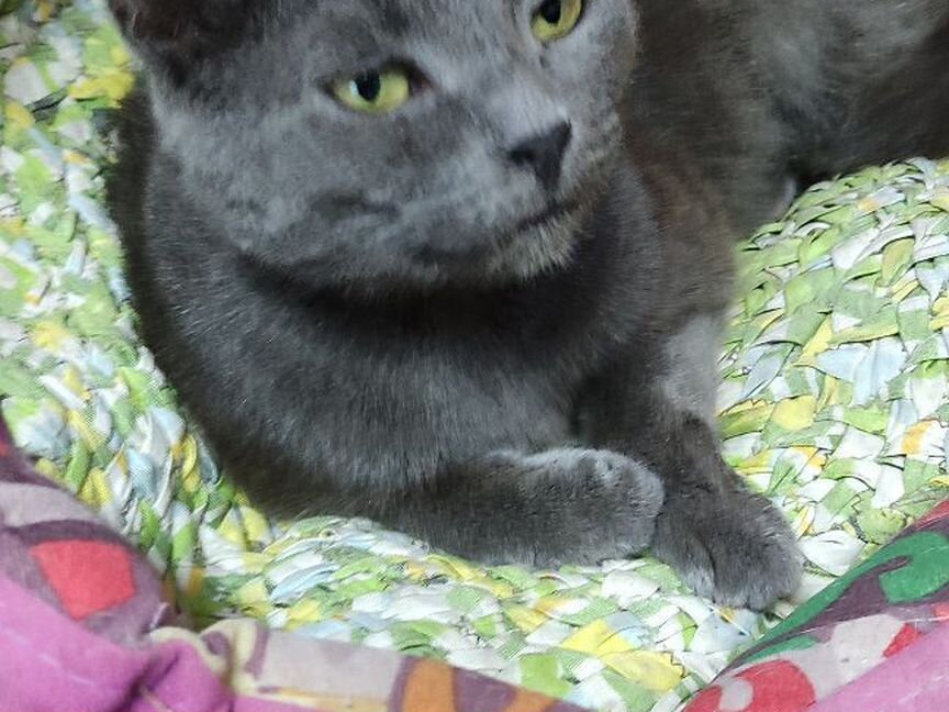 Красотка Марта