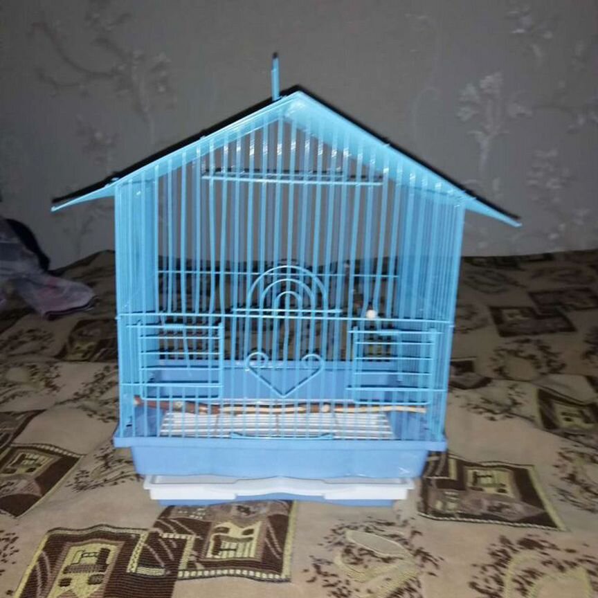 Клетка