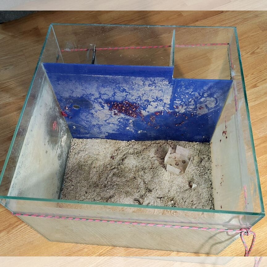 Аквариум морской стекло