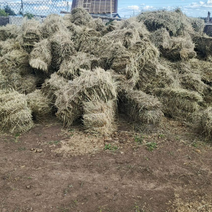 Сено в тюках