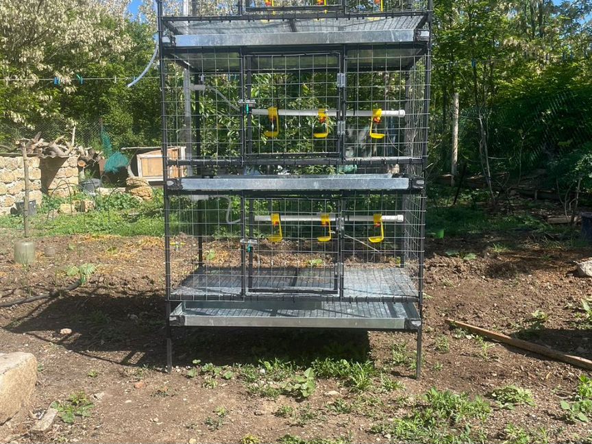 Клетка для бройлеров