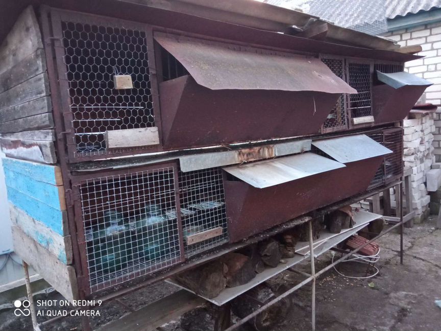 Клетка для кроликов нутрий