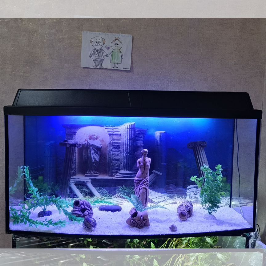 Аквариум сфера на 100 литров