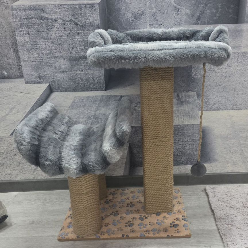 Когтеточка