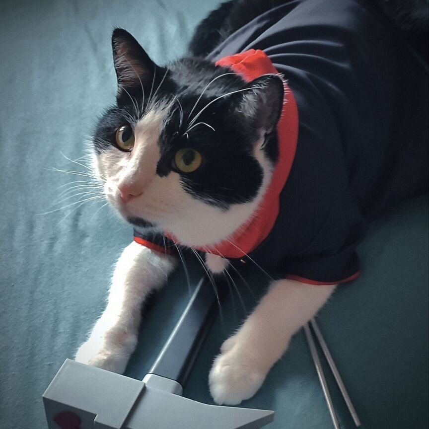 Косплей костюм для кошки или собаки