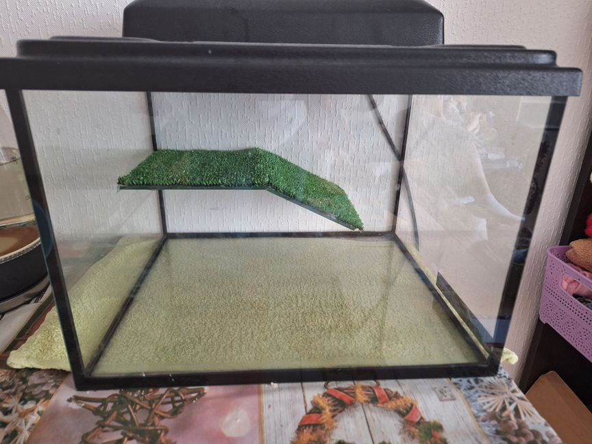 Аквариум для водной черепахи