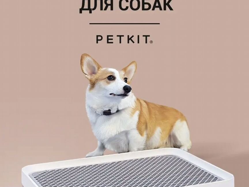 Лоток для собак