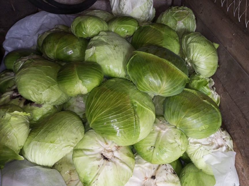 Капуста, картофель