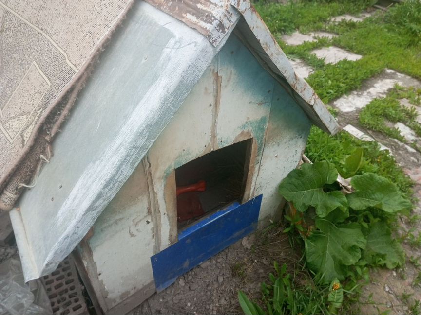 Контура для собаки