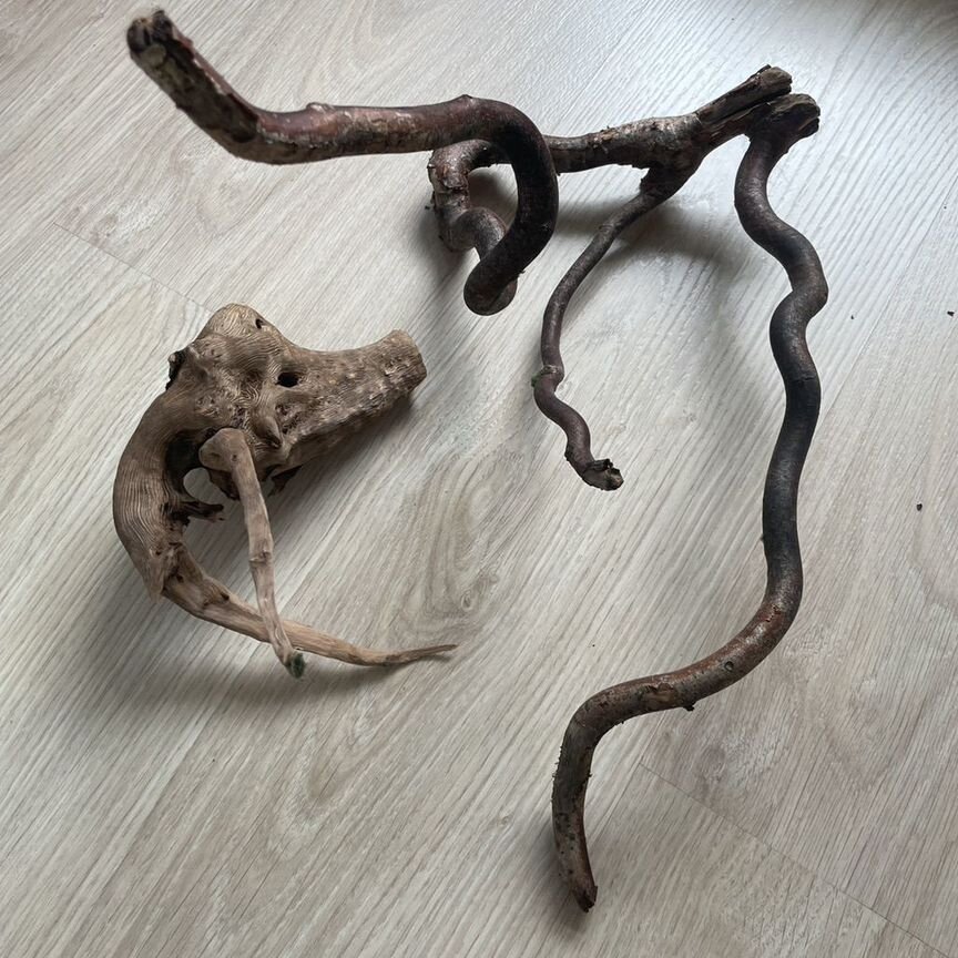 Коряги для аквариума. Самовывоз
