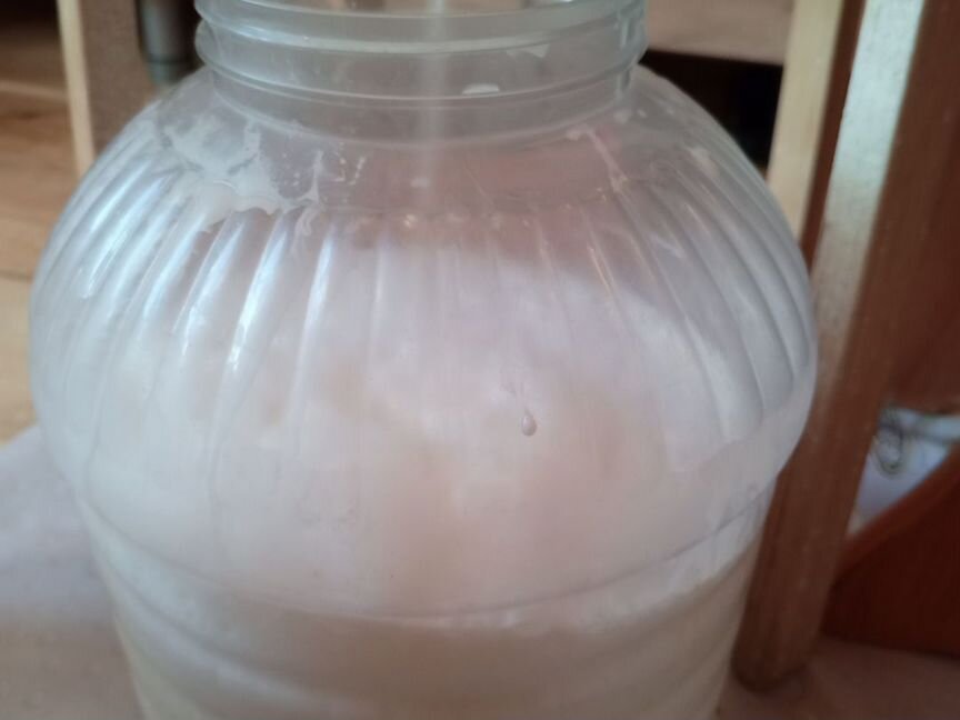 Корм для животных обрат и сыворотка