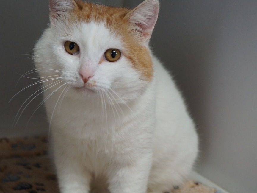 В ожидании семьи