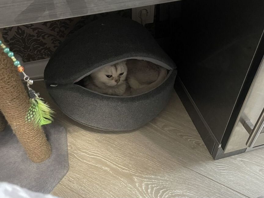 Домик для животного, для кошек, для собак