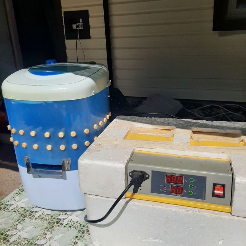 Инкубатор и перосъёмная машинка