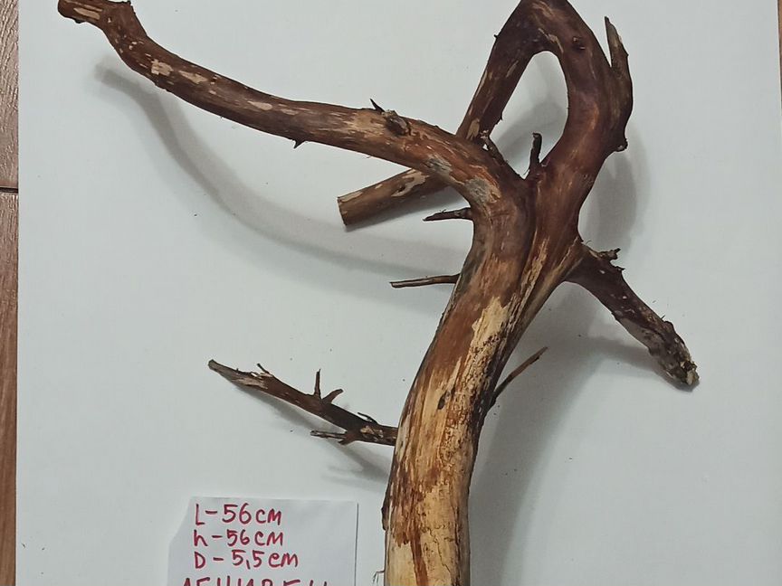 Коряги для Веты