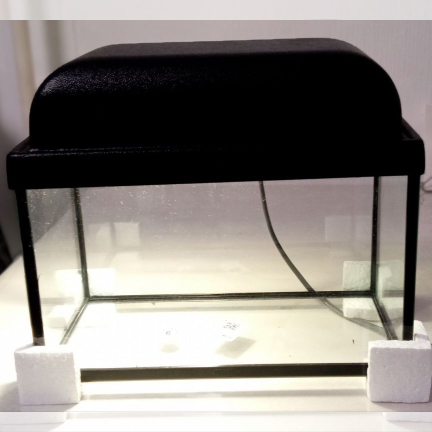 Аквариум с лампой