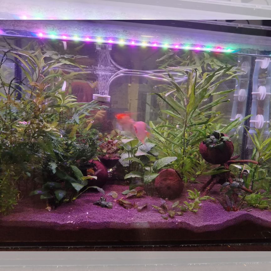 Аквариум 160 литров