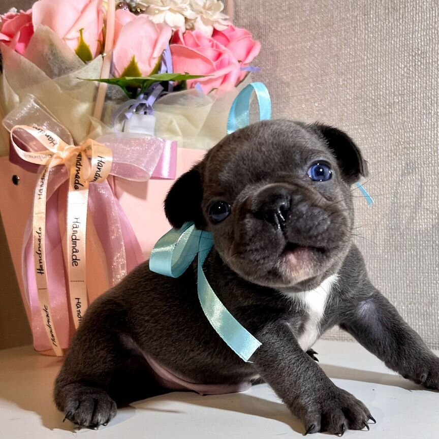 Французские подарочки (бронь)