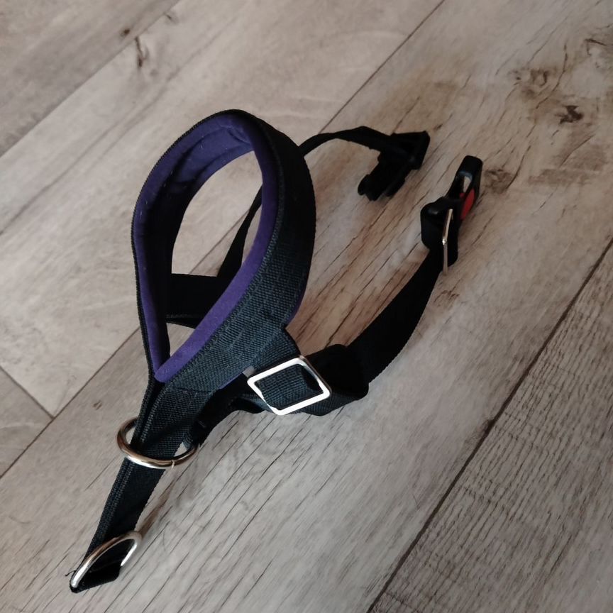 Халти для собак