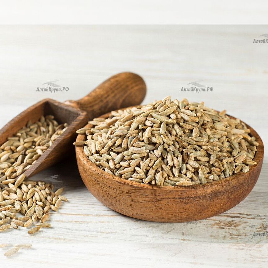 Зерно рожь овёс