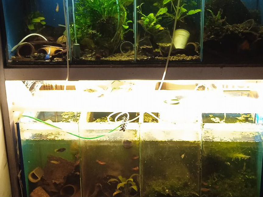 Аквариумных стойка 3 этажа