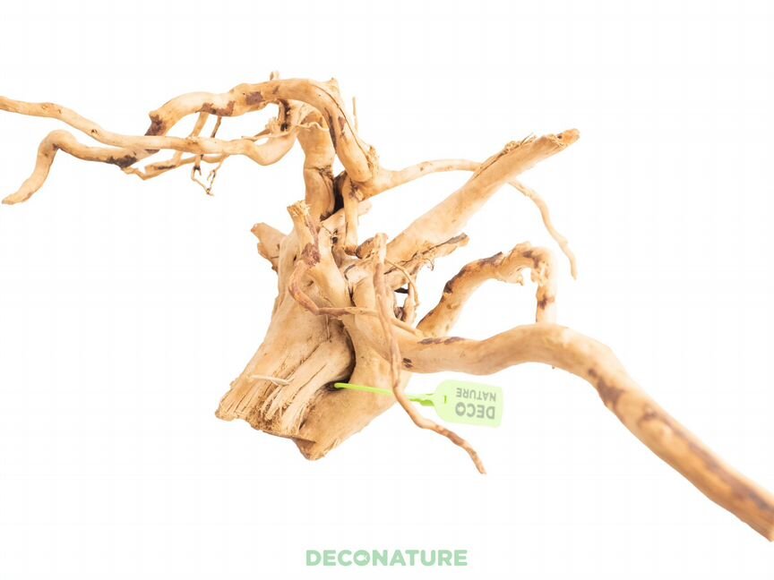 Deco nature wood azalea - Натуральный корень азал