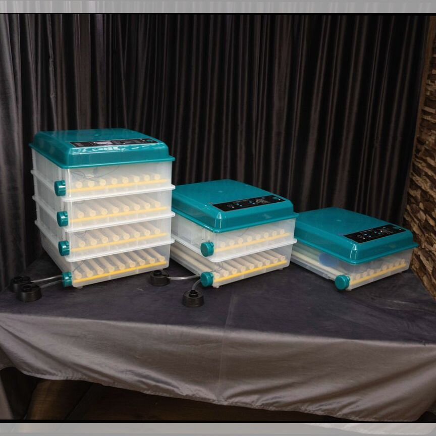 Инкубатор на любой бюджет и запрос