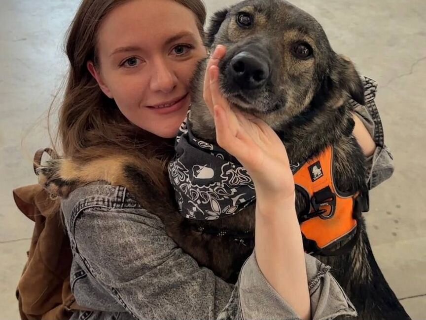 Скромная собака обнимака Гренка из приюта